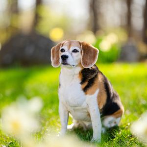 RUE INSURANCE - Updated September 2025 - 15 Photos - 3812 Quakerbridge ...