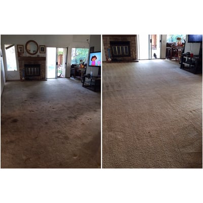 WORLD CLASS CARPET CLEANING - Updated November 2025 - 196 Photos & 474 ...