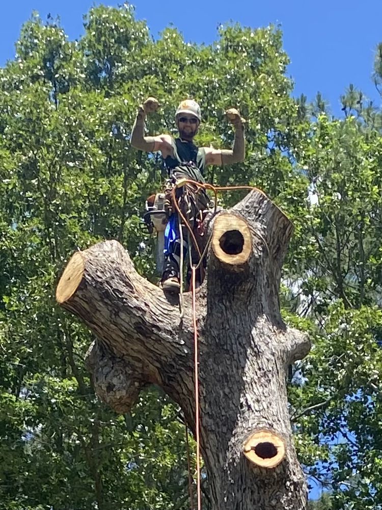 TOTAL TREE CARE - Updated August 2025 - 17 Photos - 700 W J St, Erwin ...
