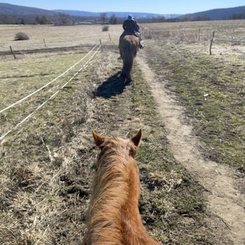 RT. 80 QUARRY RIDGE STABLES - Updated October 2025 - 28 Photos & 11 ...