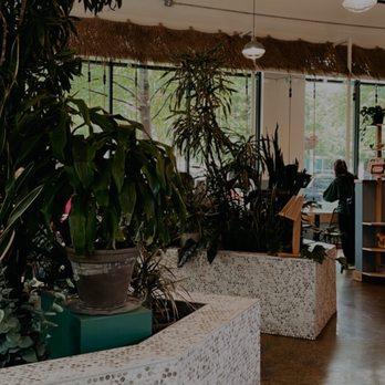 OUTTA THE BLUE CAFE - Updated October 2024 - 188 Photos & 118 Reviews ...