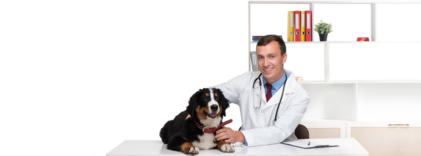 BEL AIR VETERINARY HOSPITAL - Updated January 2026 - 18 Reviews - 1501 ...