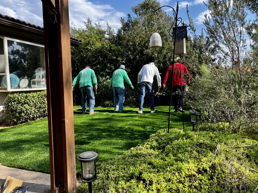 RUFF N TUFF TURF - Updated December 2025 - 249 Photos & 113 Reviews ...