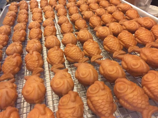 DELI MANJOO - Updated July 2025 - 14 Photos - New York, New York ...