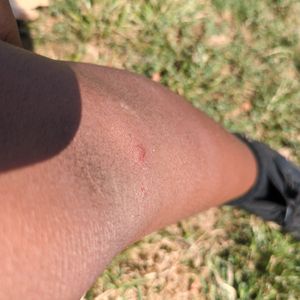 ROWLEY MEMORIAL PARK - Updated April 2025 - 58 Photos & 15 Reviews ...