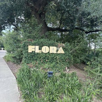 FLORA - Updated January 2025 - 572 Photos & 347 Reviews - 3422 Allen ...