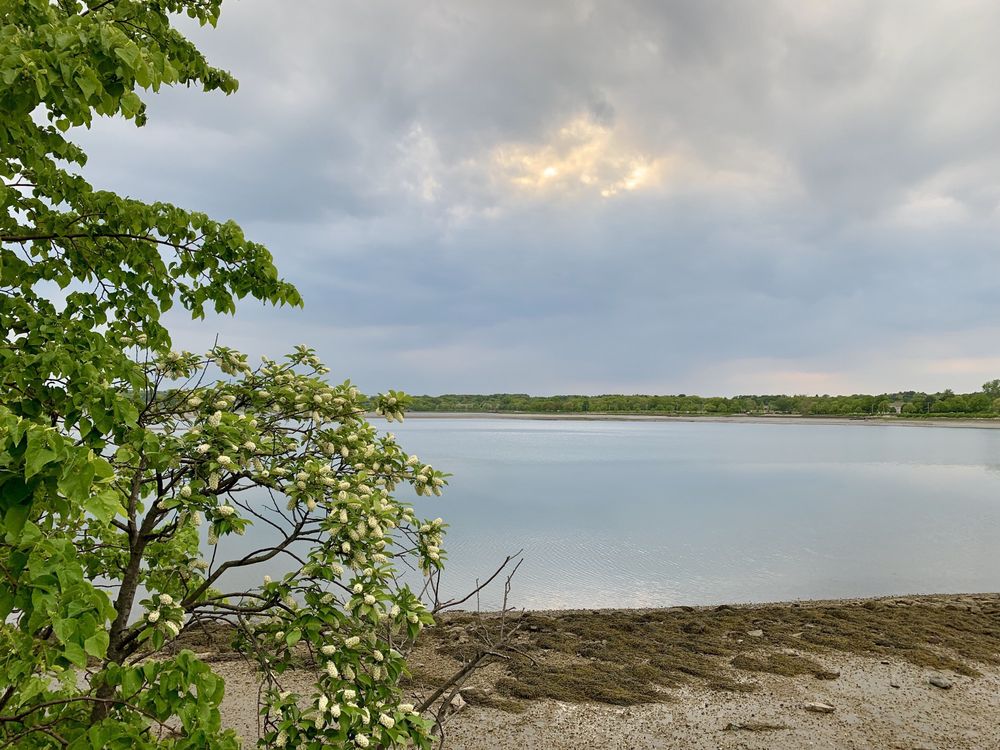 BACK COVE TRAIL - 77 Photos & 29 Reviews - Preble St & Hwy 1, Portland ...