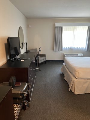 MAPLE TREE INN - Updated April 2025 - 174 Photos & 195 Reviews - 711 E ...