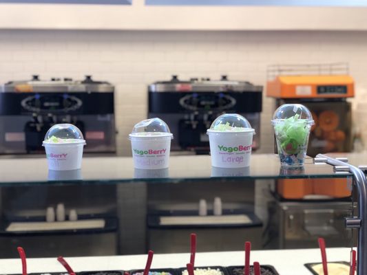 YOGO BERRY - 26 Photos & 13 Reviews - 931 N Resler Dr, El Paso, TX - Yelp