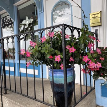 HARBOR VIEW CAFE - Updated April 2025 - 182 Photos & 169 Reviews - 314 ...