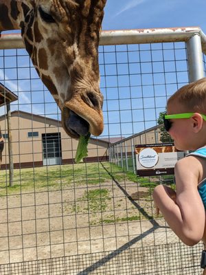 BOULDER RIDGE WILD ANIMAL PARK - Updated November 2025 - 151 Photos ...