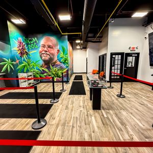 HIGHER COLLECTIVE - Updated November 2025 - 53 Mc Dermott Ave ...