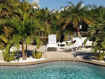 PRIMO POOL AND PALMS - Updated May 2025 - 11 Photos - 230 Primo Dr ...
