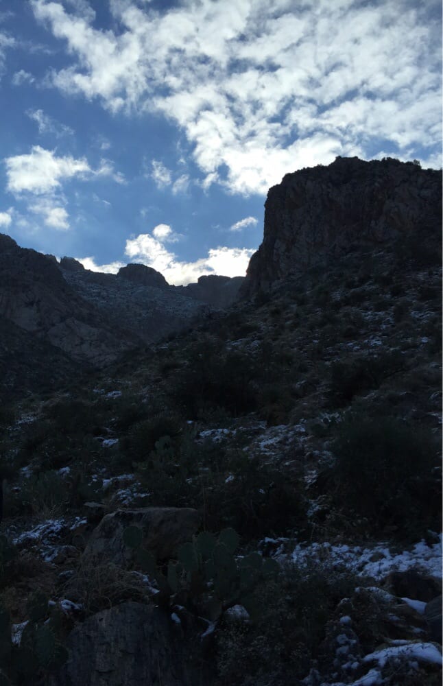 PUSCH RIDGE - Coronado National Forest, Pusch Ridge, Arizona - Hiking ...