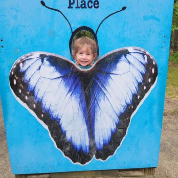 THE BUTTERFLY PLACE - Updated May 2025 - 319 Photos & 101 Reviews - 120 ...
