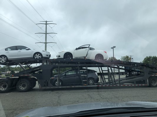 AMERIFREIGHT CAR SHIPPING - Updated August 2025 - 55 Photos & 344 ...