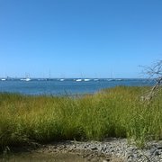 GARVIES POINT MUSEUM & PRESERVE - 71 Photos & 15 Reviews - 50 Barry Dr ...