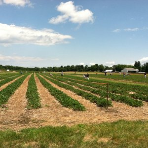 AUTUMN MIST FARM - Updated August 2025 - 43 Photos - 1157 N Westfield ...