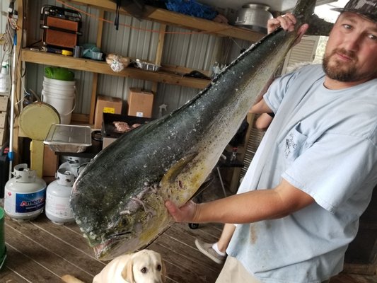 WHALEBONE SEAFOOD MARKET & TAKEOUT - 94 Photos & 93 Reviews - 101 E ...