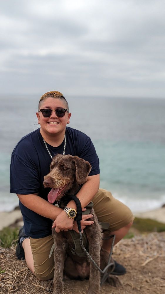 LAND OF PAWS - Updated December 2025 - 88 Photos & 77 Reviews - 5924 E ...