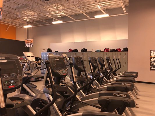 FIT 4 LESS - Updated December 2025 - 1525 City Park Drive, Ottawa ...