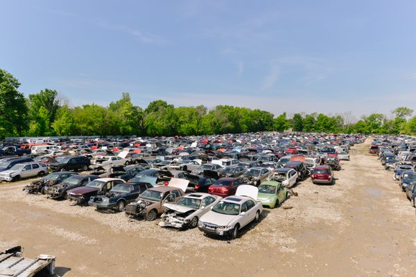 INDIANAPOLIS AUTO PARTS - Updated June 2026 - 19 Photos & 11 Reviews ...