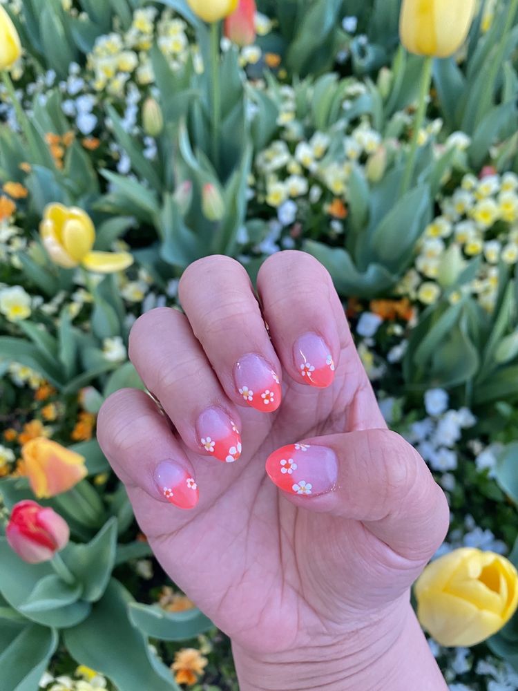 CAPITOL NAILS SALON - Updated September 2025 - 176 Photos & 178 Reviews ...