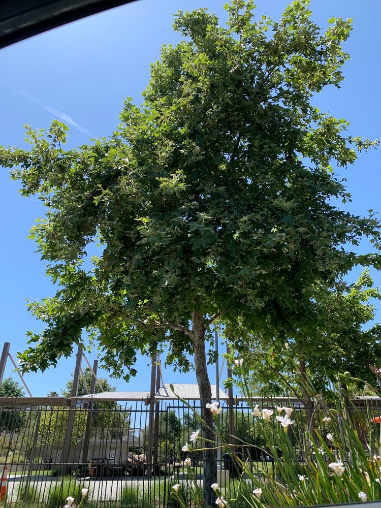 RUDOLPH PARK - Updated September 2025 - 63 Photos & 16 Reviews - 14725 ...