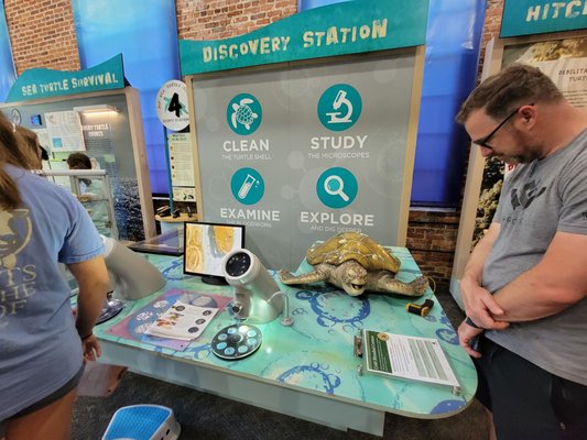 THE GEORGIA SEA TURTLE CENTER - Updated July 2025 - 315 Photos & 108 ...