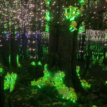 IDEA MUSEUM - Updated January 2026 - 230 Photos & 138 Reviews - 150 W ...