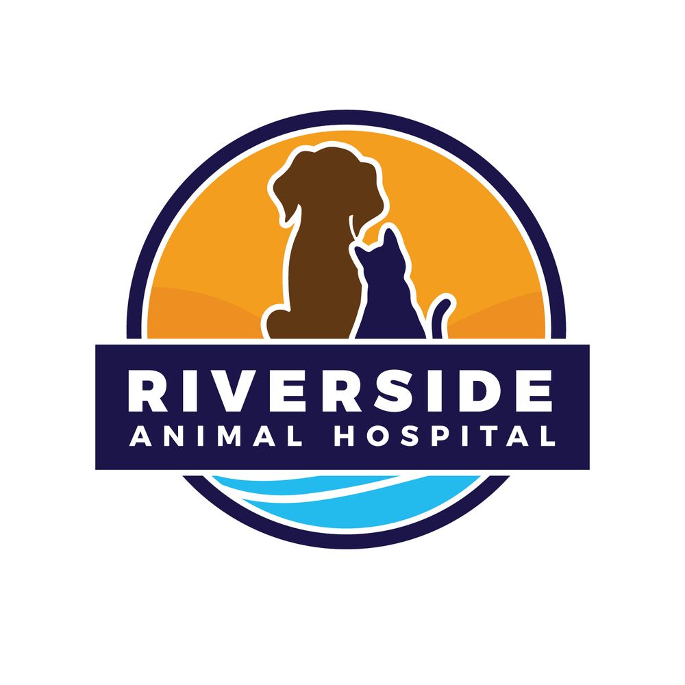 RIVERSIDE ANIMAL HOSPITAL NORTH - Updated December 2025 - 30 Photos ...