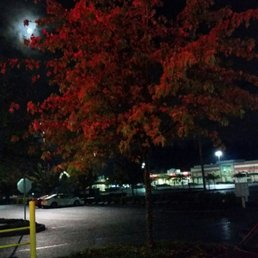 SUSHI ZEN - Updated December 2025 - 412 Photos & 453 Reviews - 13206 ...