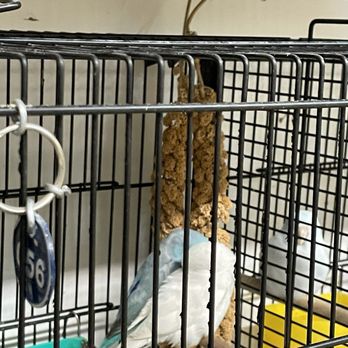 MAGNOLIA BIRD FARM - Updated March 2025 - 142 Photos & 189 Reviews ...