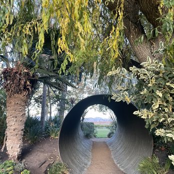 DI ROSA CENTER FOR CONTEMPORARY ART - Updated October 2025 - 373 Photos ...