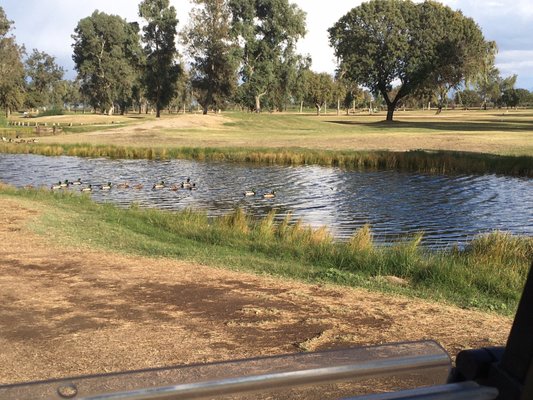 TULARE GOLF COURSE - Updated November 2024 - 20 Photos & 18 Reviews ...