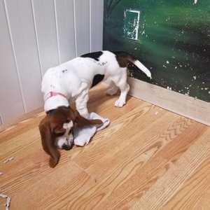 MERCY FULL PROJECT - Updated November 2025 - 31 Photos & 26 Reviews ...