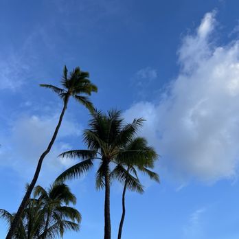 HOUSE WITHOUT A KEY - Updated March 2025 - 3090 Photos & 1443 Reviews ...