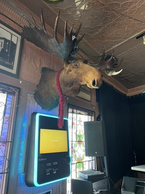 ANTLERS TAVERN - Updated August 2025 - 44 Photos & 103 Reviews - 2284 ...