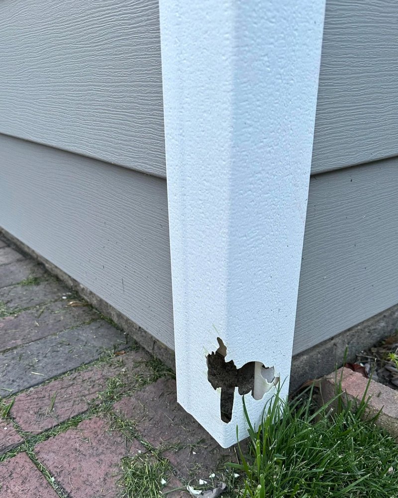 T-BLEVINS GUTTERS WINDOWS AND MORE - Updated October 2025 - Request a ...