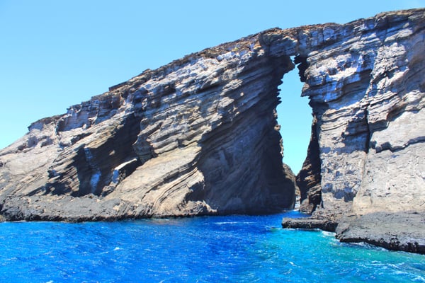 HOLO HOLO CHARTERS - 768 Photos & 934 Reviews - 4353 Waialo Rd, Eleele ...