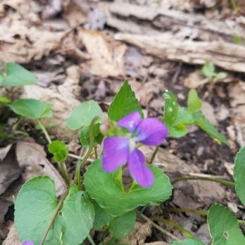 DUFF PARK - Updated January 2026 - 45 Photos & 11 Reviews - 4500 School ...