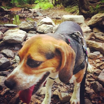 ENO QUARRY - Updated January 2026 - 54 Photos & 11 Reviews - 4955 Howe ...