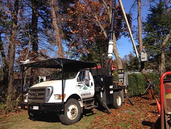 EDGE TREE SERVICE - Updated October 2025 - South Hadley, Massachusetts ...