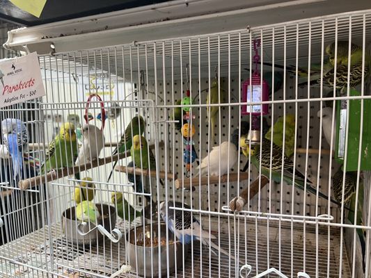 SEAN CASEY ANIMAL RESCUE - Updated January 2026 - 86 Photos & 180 ...