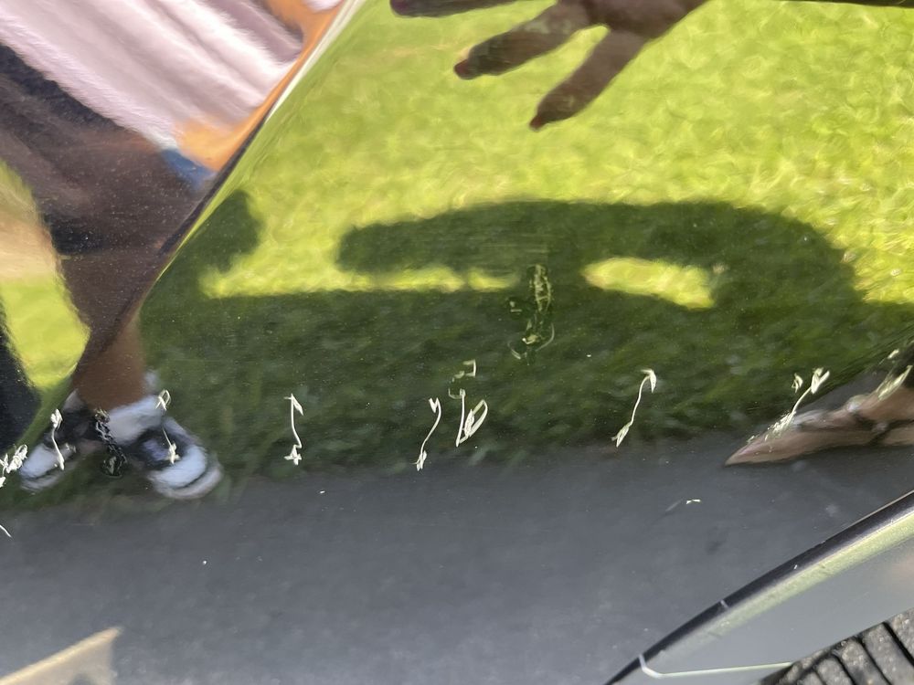 SAS AUTOMOTIVE SERVICE CENTER - Updated December 2025 - 10 Photos & 26 ...