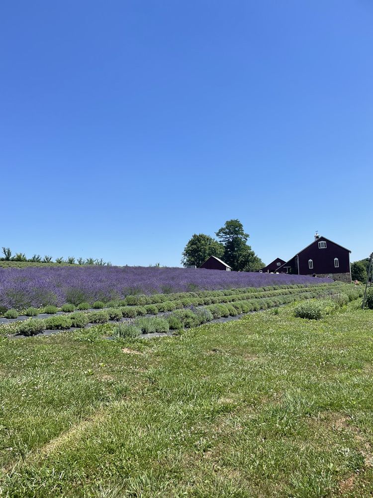 STAR BRIGHT FARM - 2950 Garrett Rd, White Hall, MD - Yelp