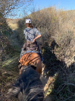 PACIFIC DUNES RIDING RANCH - Updated January 2026 - 93 Photos & 123 ...