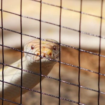 ALLIGATOR ALLEY - Updated August 2024 - 489 Photos & 165 Reviews ...