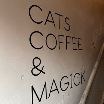 MAC TABBY CAT CAFE - Updated December 2025 - 342 Photos & 151 Reviews ...