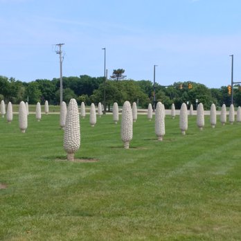 FIELD OF CORN SCULPTURE - Updated December 2025 - 78 Photos & 40 ...